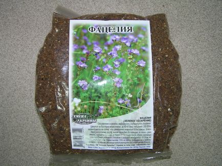 Siderate Phacelia milyen a növény, és ha a növény