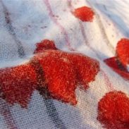 Символи и знаци за пране върху етикетите на дрехите и бельото