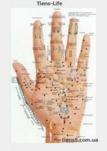 Схема на акупунктурни точки на ръцете (длани, пръсти), акупунктурна ...