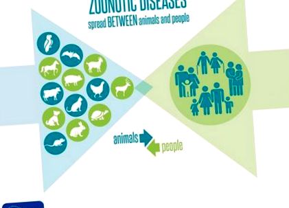 Zoonotic Diseases One Health CDC