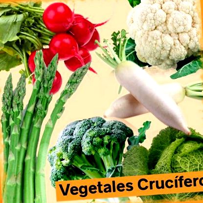 A legjobb ételek a legjobb SCIATICA Cordus Spanyolország számára