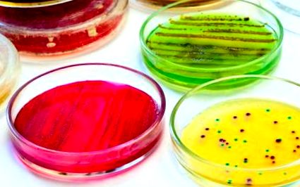 Видове и симптоми на кандидоза