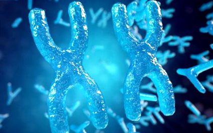 Sindromul simptomului Triple X; mea, tipuri de anomalii, tratament