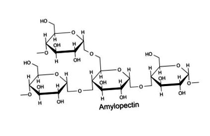 Ce este polizaharidele, care este definiția nutrițională, știința ...
