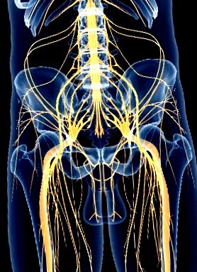 Az isiász tünetei, kezelése és terápiája szakrendelésen