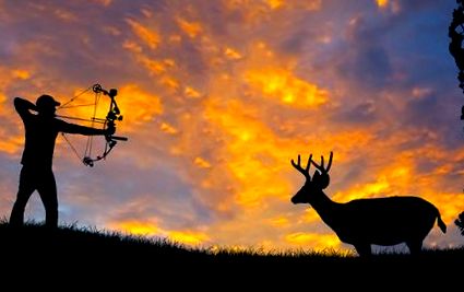 Íjászat kezdőknek - felszerelés, információ; Tippek