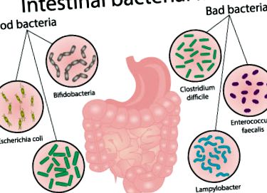 Disbioză - Cauze, simptome și tratament