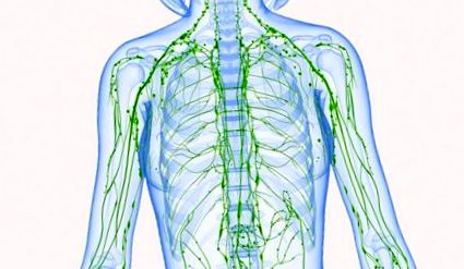 Ganglionii limfatici umflați ce se află în spatele ei