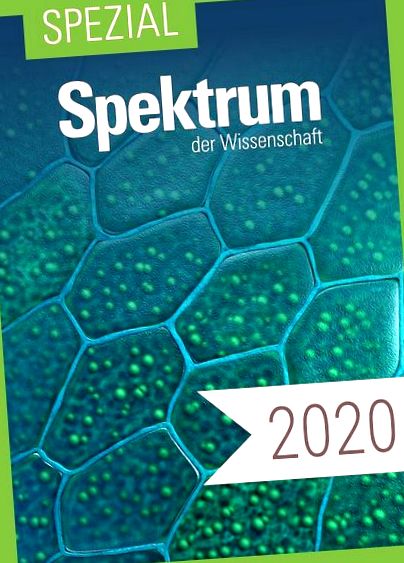 Sliznicová membrána - lexikón biológie