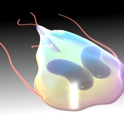 Giardia om, Giardia copil 1 an PARAZITOZELE LA OM - O CALAMITATE