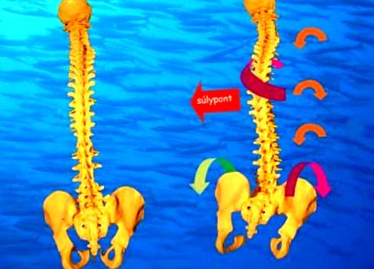 Тазова торзия GERINC RE-FORM STUDIO - Тазобедрена става и изкривяване ...