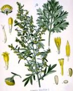 PELIN KAPSZULA 40 FAVISAN