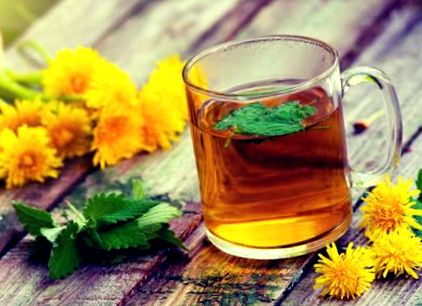 Pitypang tea - készítmény, előnyök, mellékhatások - Egészség és természet