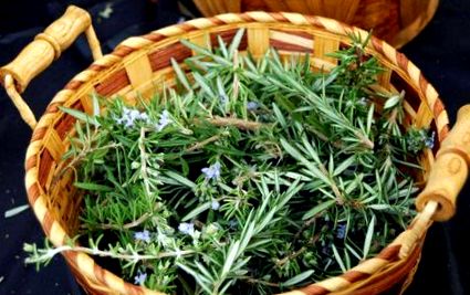 Rozmaring tea - Előnyök és ellenjavallatok - Természetes teák