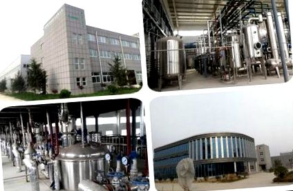 Fehér babkivonat, Phaseolin, Phaseolamine Beszállító, Fogyás, Bab