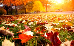 Jesenné básne - aké básne si treba prečítať začiatkom jesene