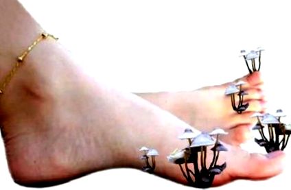 Népi gyógymódok gomba láb kezelés