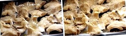 Sült pleurotus gomba Laura Adamache receptek
