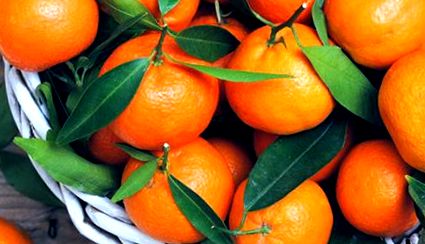 Recept na prípravu mandarínkového džemu