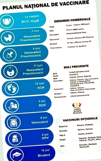 Морбили (морбили) симптоми, диагностика и лечение - CSID Какво се ...