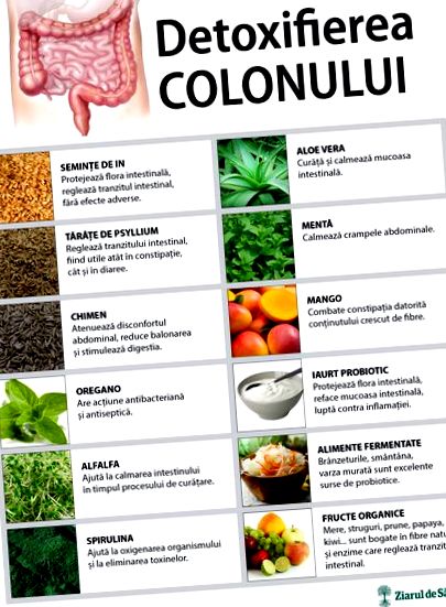 Vastagbél hidroterápia (hidrokolonoterápia) - a vastagbél tisztítása ...