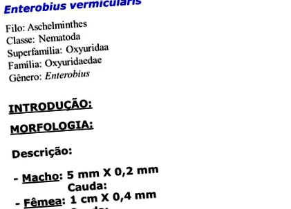 Enterobius vermicularis царство глистів Oxiuros