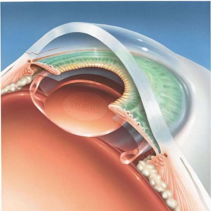 Care este structura ochiului ochiului uman